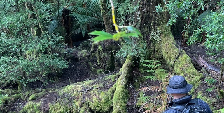 John Fabris, Author at LAFM