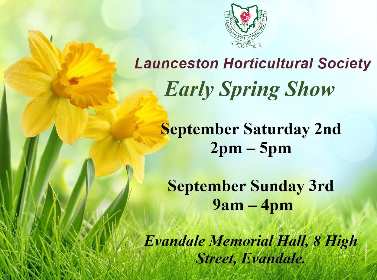 Early Spring Flower Show - LAFM