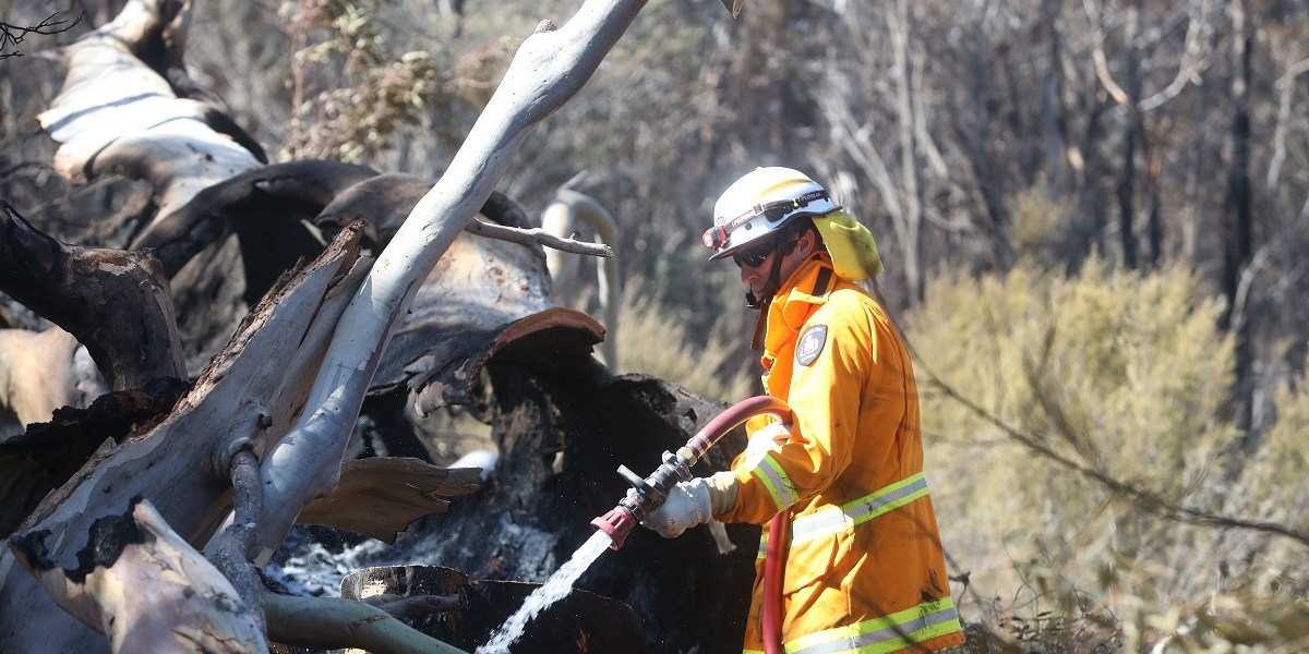 John Fabris, Author at LAFM